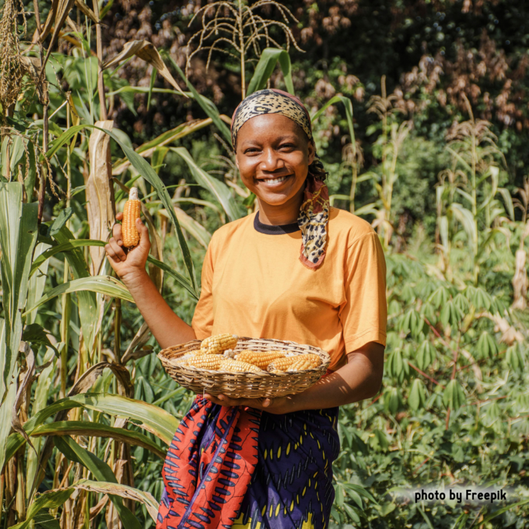 Funding ideas - AfriGO