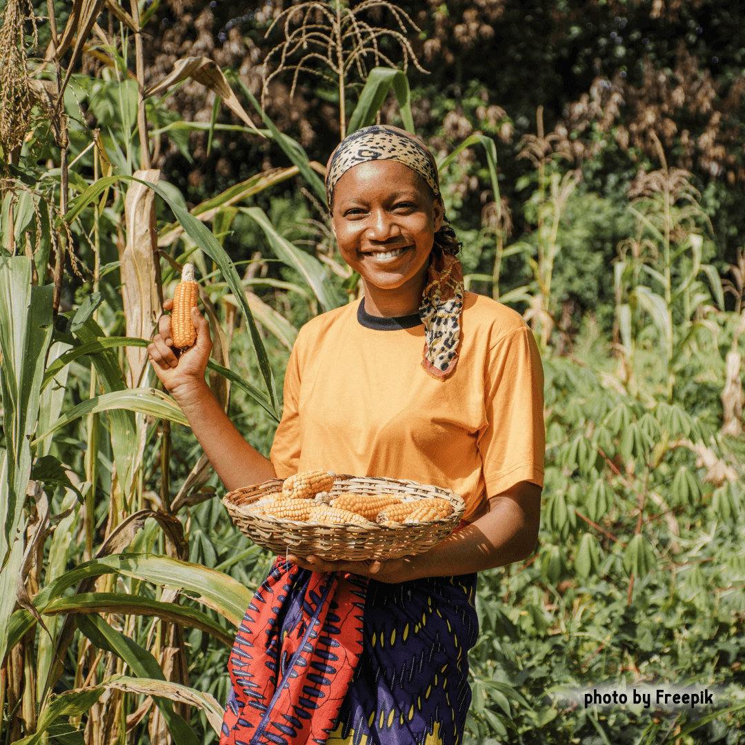 Funding ideas - AfriGO